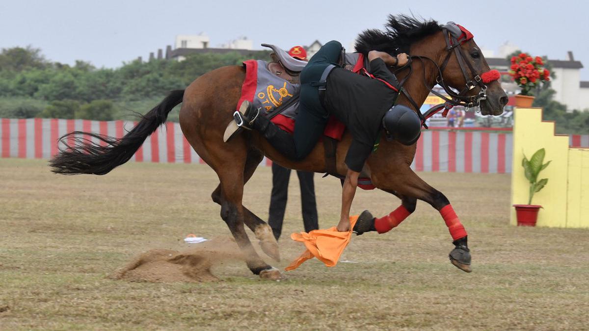 Equestrian Federation of India running out of time and excuses - Sportstar