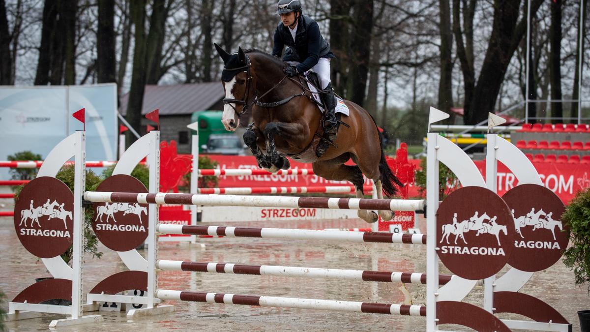 Tokyo Olympics: Equestrian Mirza selects 'Dajara 4' for the Games ...