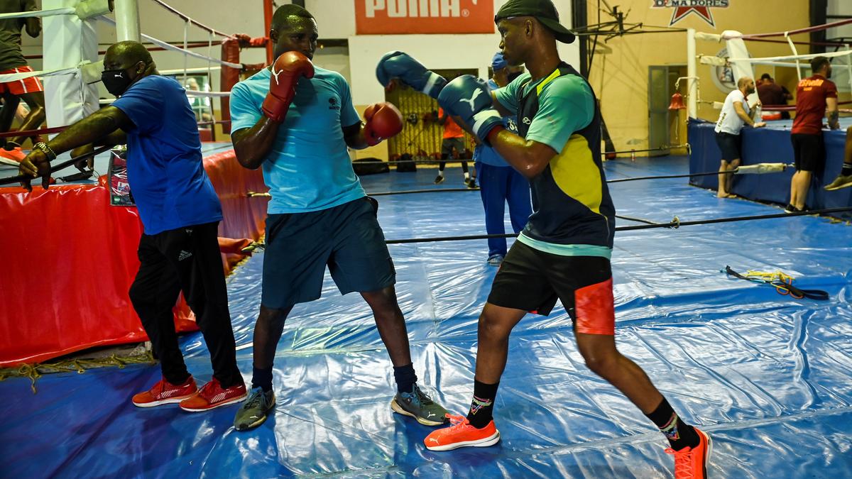 Professional boxing returns to Cuba, 60 years after Fidel Castro's ban ...