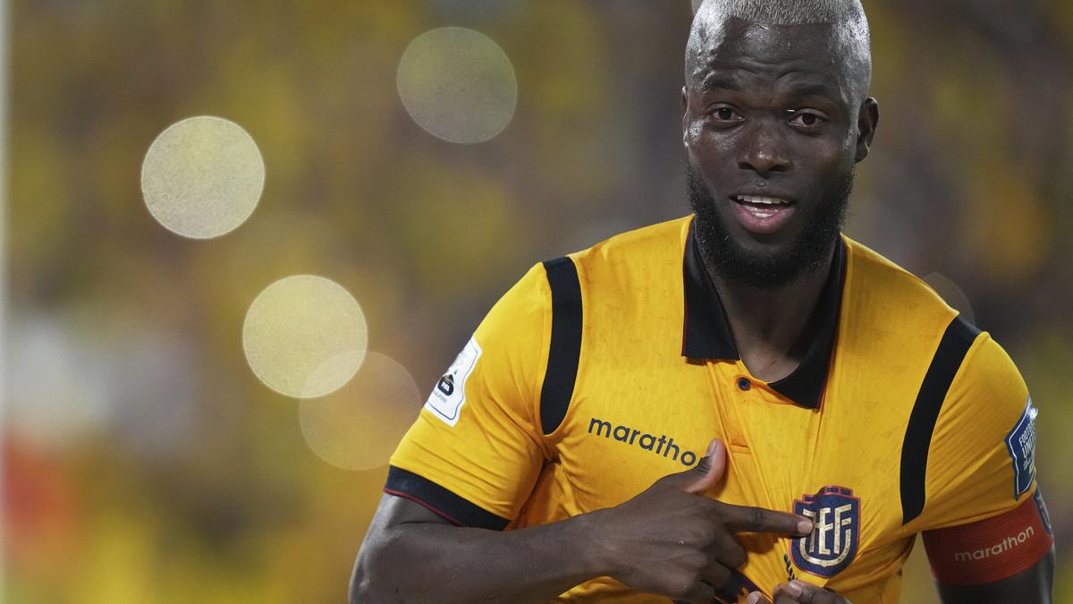 Argentina vs Ecuador HIGHLIGHTS, FIFA World Cup Qualifiers: Valencia ...