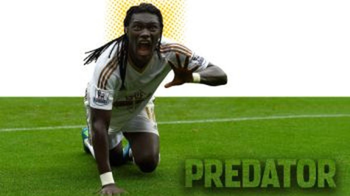 Predator - Sportstar