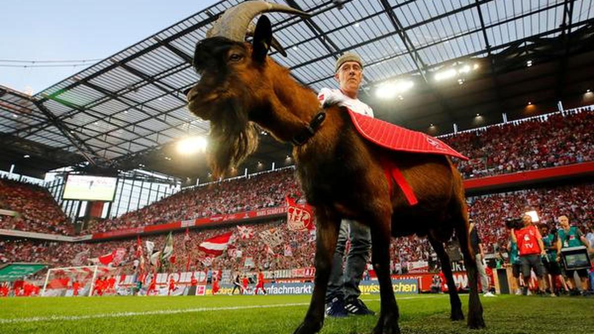 Bundesliga: Germany’s sacred games - Sportstar